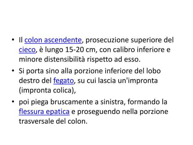 Intestino crasso o colon | PPTX