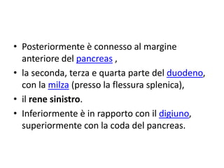 Intestino crasso o colon | PPTX