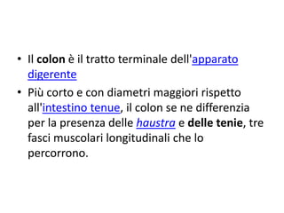 Intestino crasso o colon | PPTX