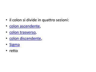 Intestino crasso o colon | PPTX