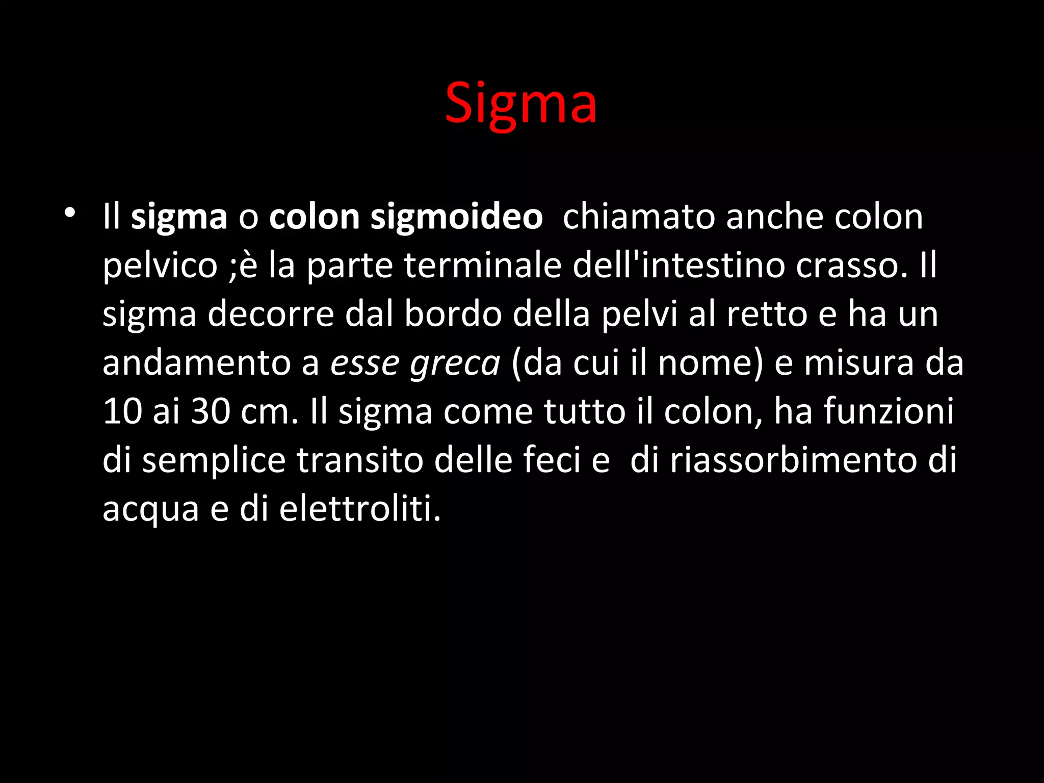 Intestino Crasso Presentazione | PPT