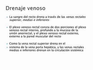 anatomía del Intestino grueso | PPTX