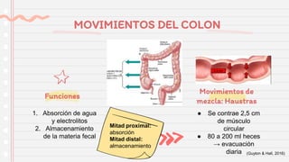 Intestino Grueso y sus patologías masa frecuentes | PPTX