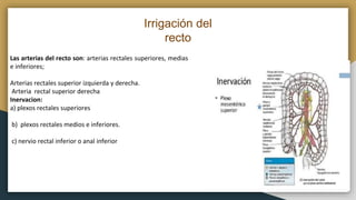 intestino grueso, generalidades, anatomia, fisiologia, patologia | PPTX