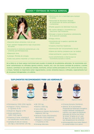 Intestino, segundo cerebro | PDF