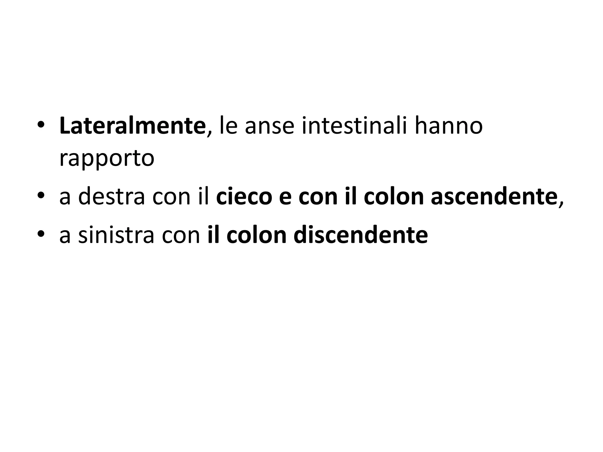 Intestino tenue | PPTX