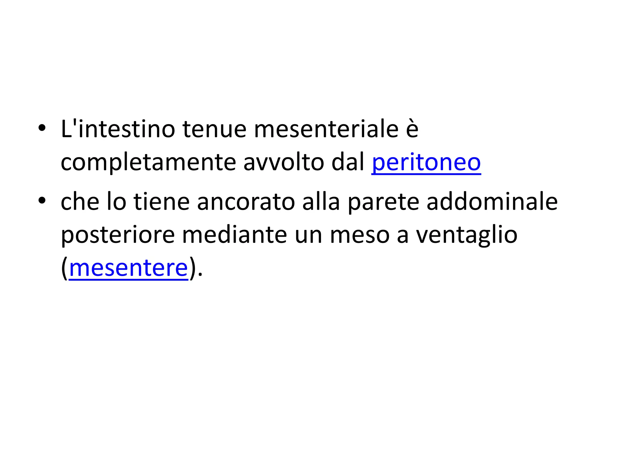 Intestino tenue | PPTX
