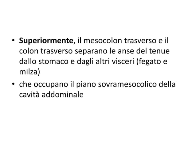 Intestino tenue | PPTX