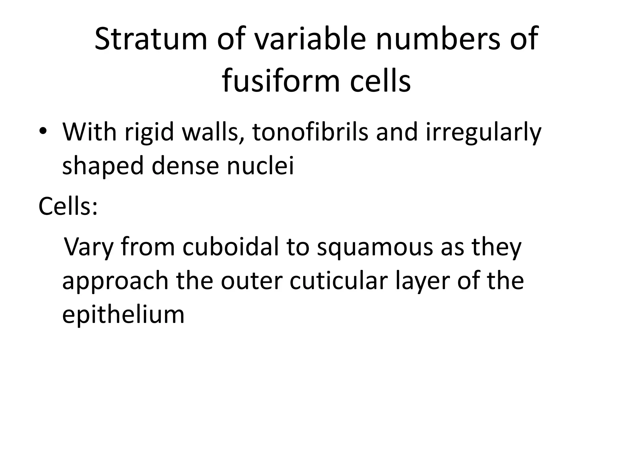 Inteugmentary system of fishes | PPTX