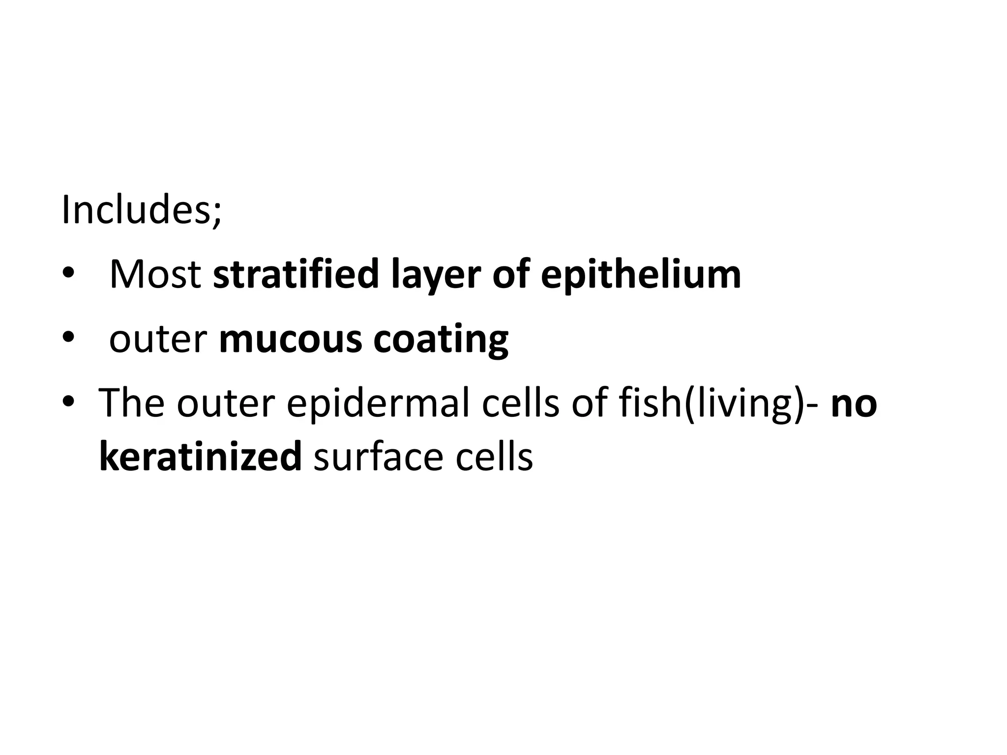 Inteugmentary system of fishes | PPTX