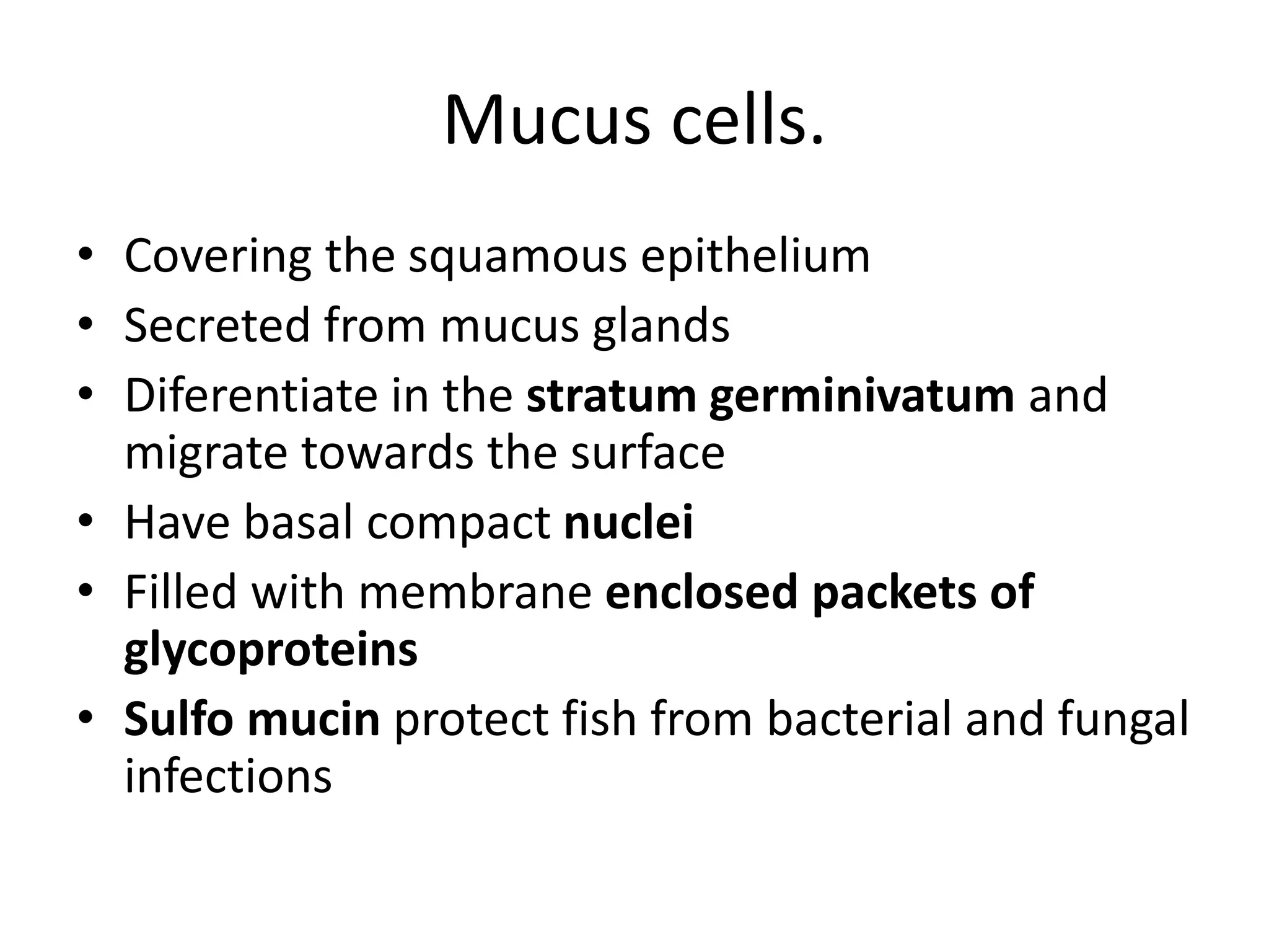 Inteugmentary system of fishes | PPTX
