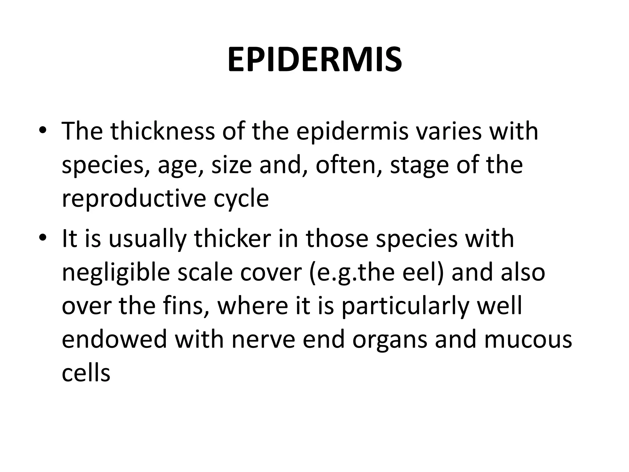 Inteugmentary system of fishes | PPTX