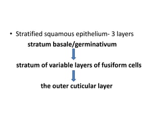 Inteugmentary system of fishes | PPTX