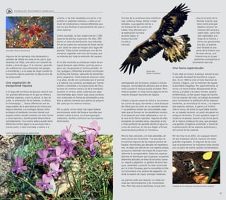 Guía Oficial del Parque Natural de Cazorla, Segura y las Villas | PDF