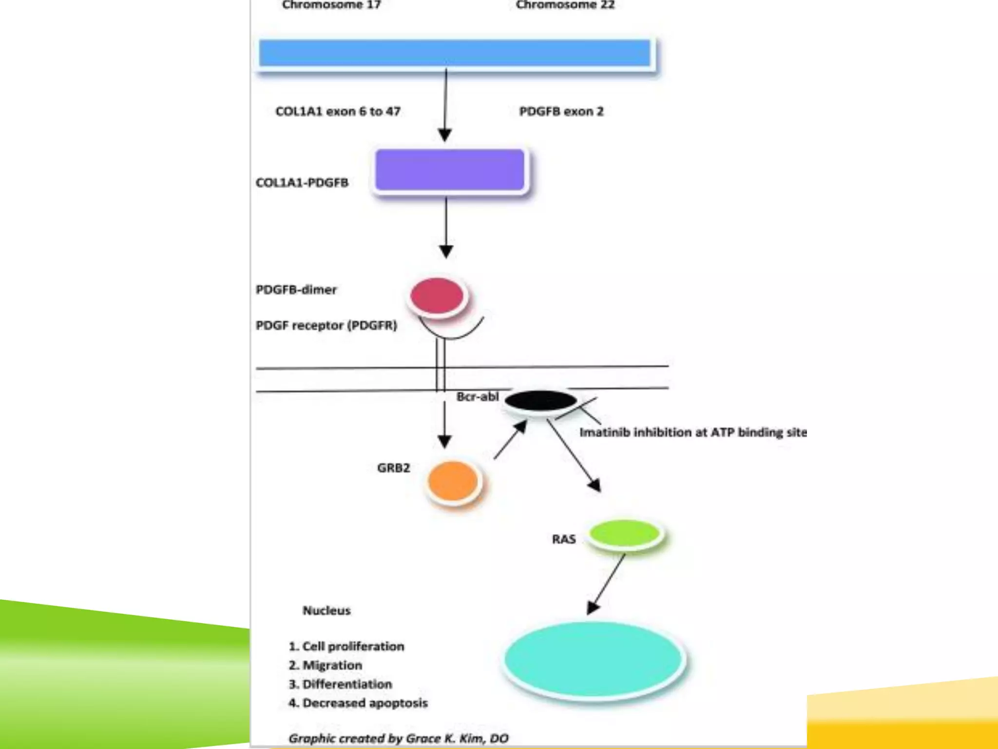 In the Flesh- dermatofibrosarcoma protuberans (dfsp) | PDF