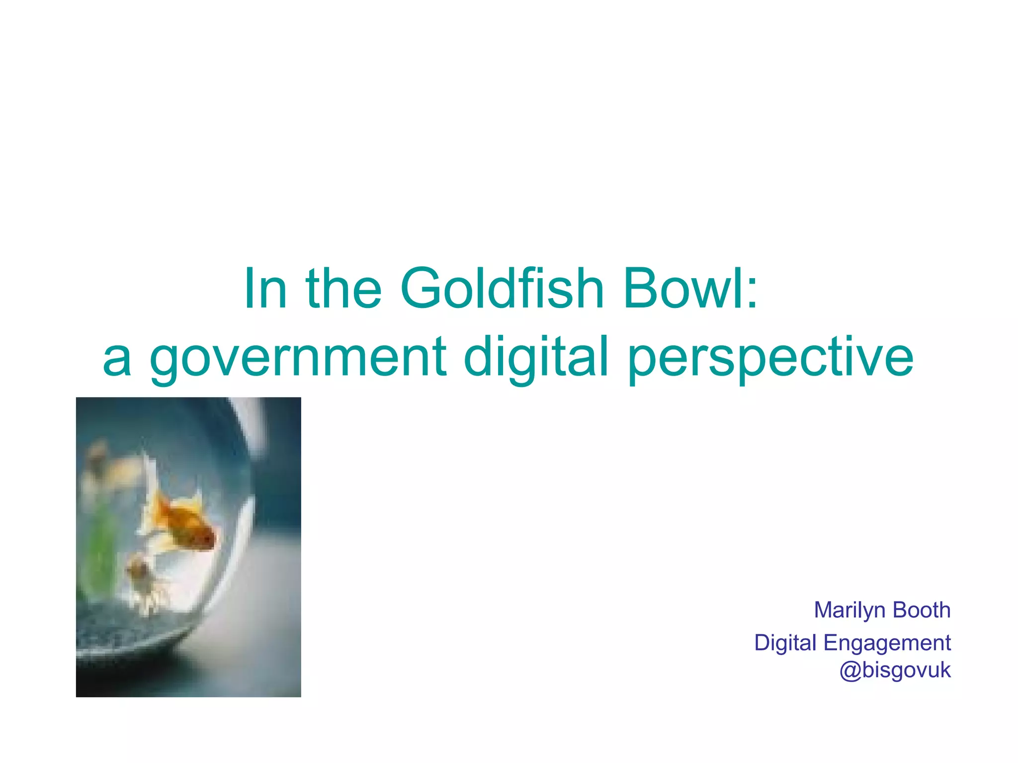 In the goldfish bowl | PPT
