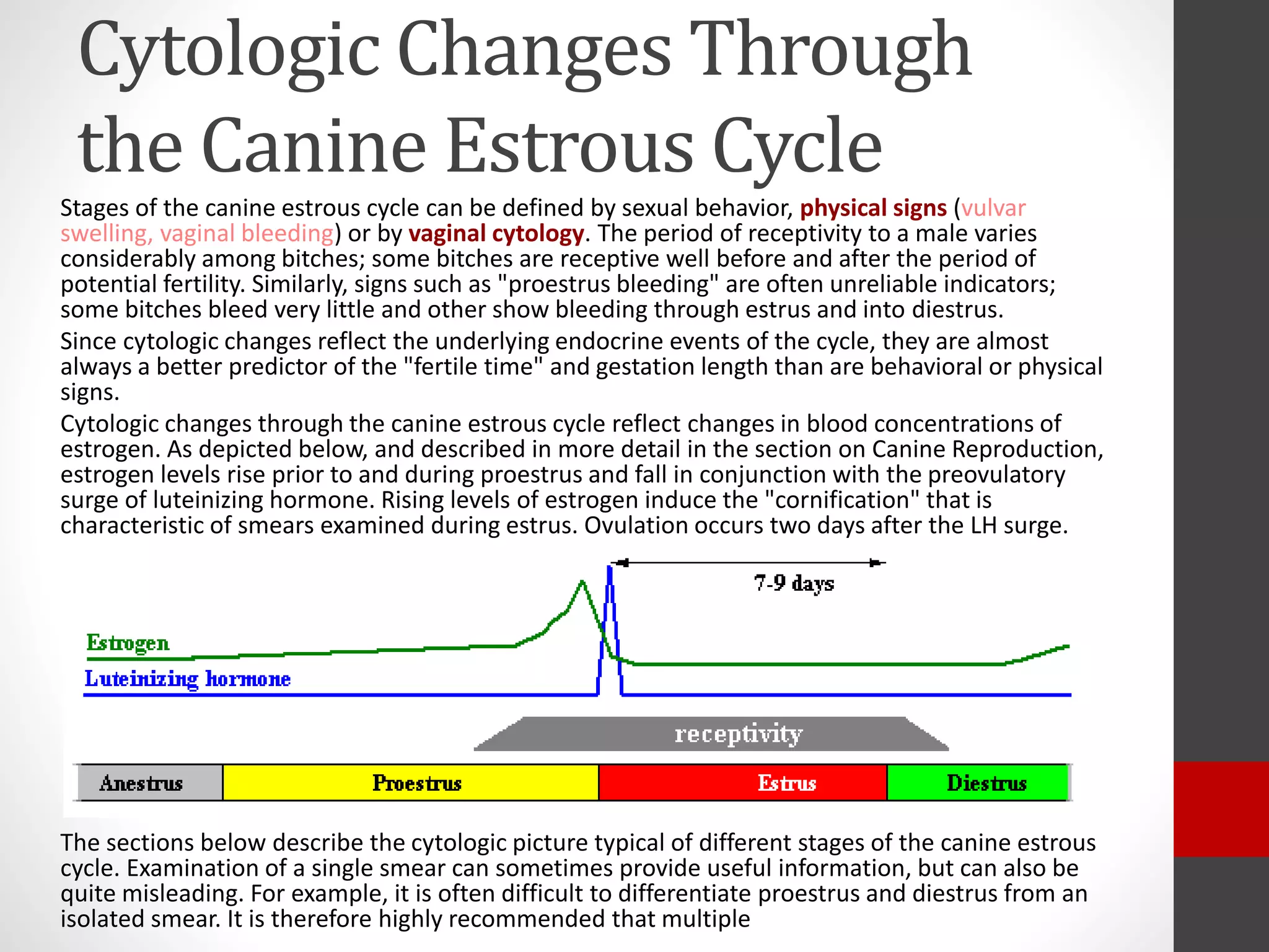 Dog vaginal cytology by Dr.mehdi moradi | PPTX