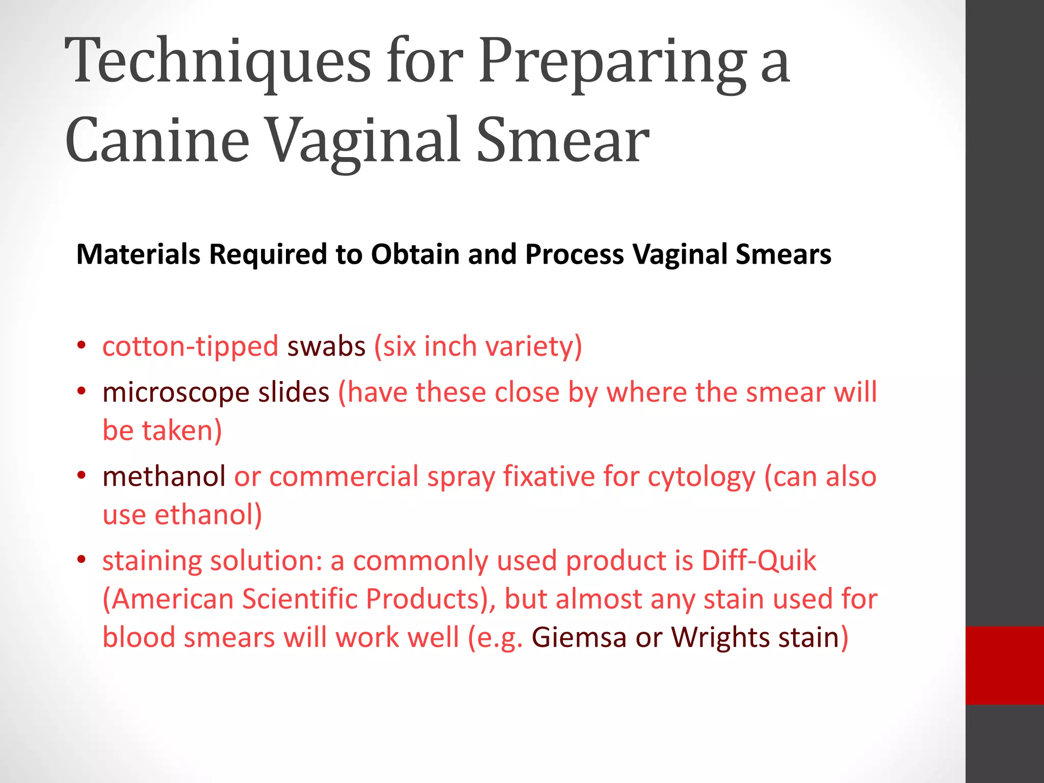Dog vaginal cytology by Dr.mehdi moradi | PPTX