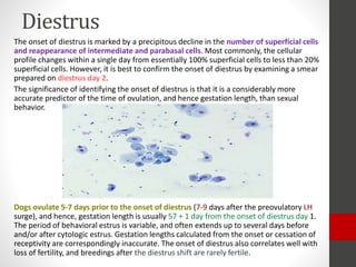 Dog vaginal cytology by Dr.mehdi moradi | PPTX
