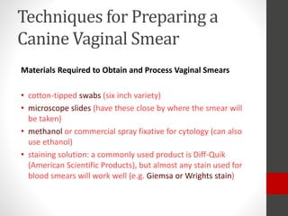 Dog vaginal cytology by Dr.mehdi moradi | PPTX