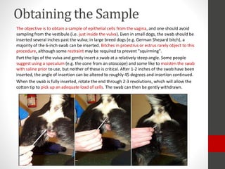 Dog vaginal cytology by Dr.mehdi moradi | PPTX