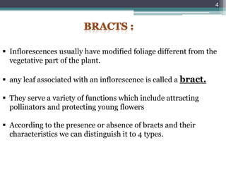 Inflorescences & Its types | PPTX | Gardening | Home & Garden