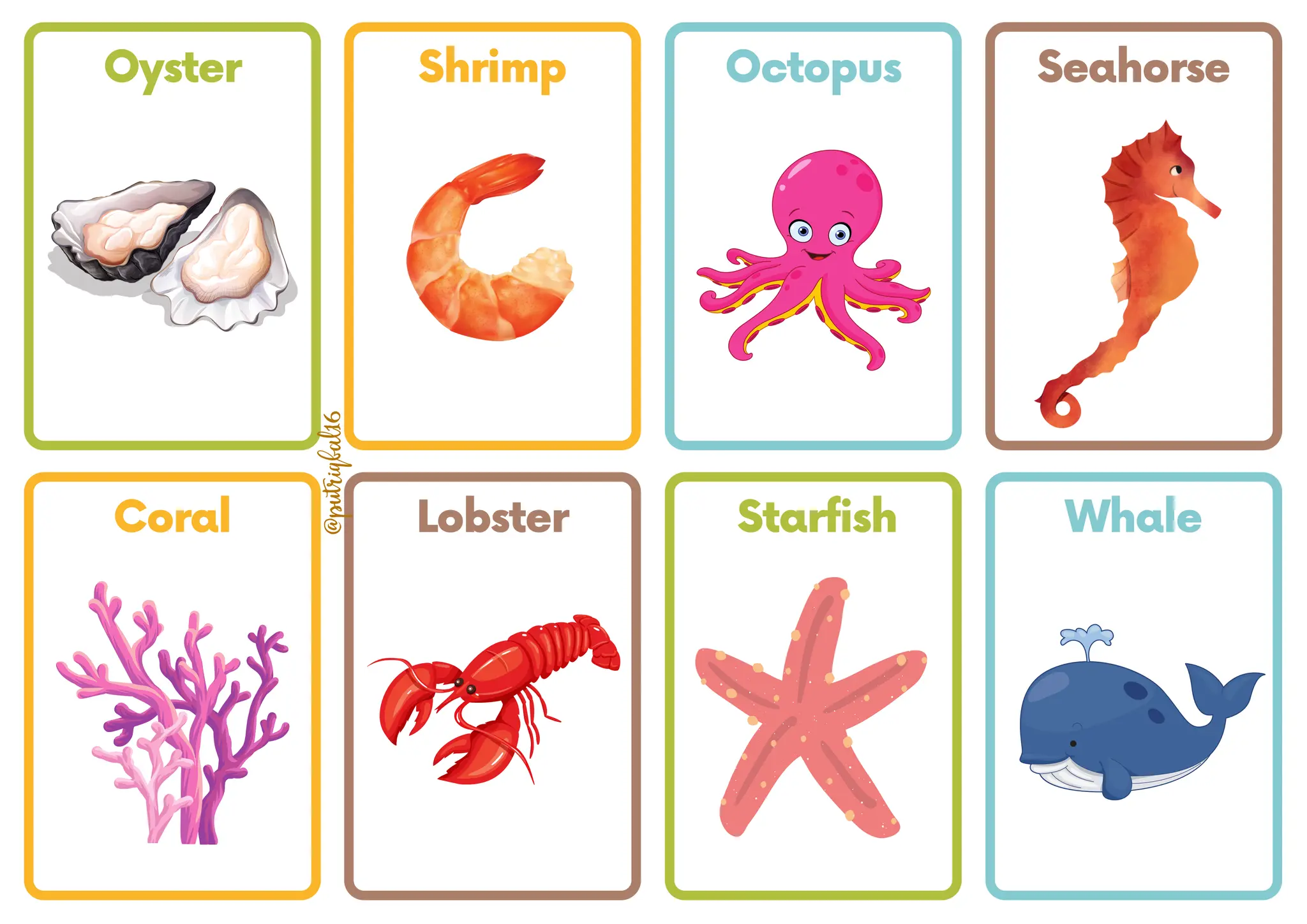 Animals In The Sea Flashcards Sheets.pdf