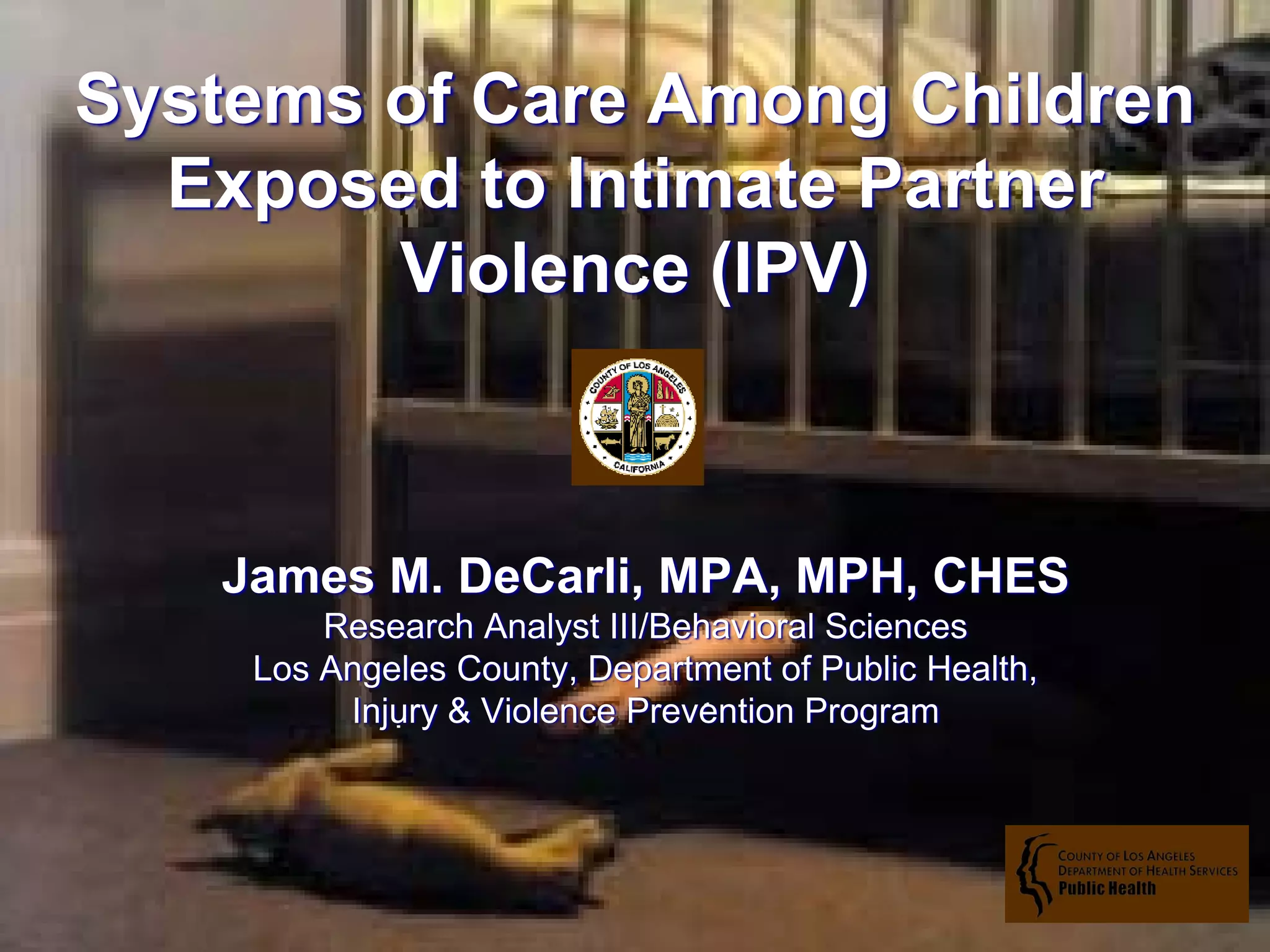 Intimate Partner Violence (Ipv) Systems With Background | PDF