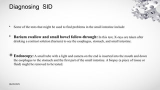 Diseases of the small intestines and rectum | PPTX