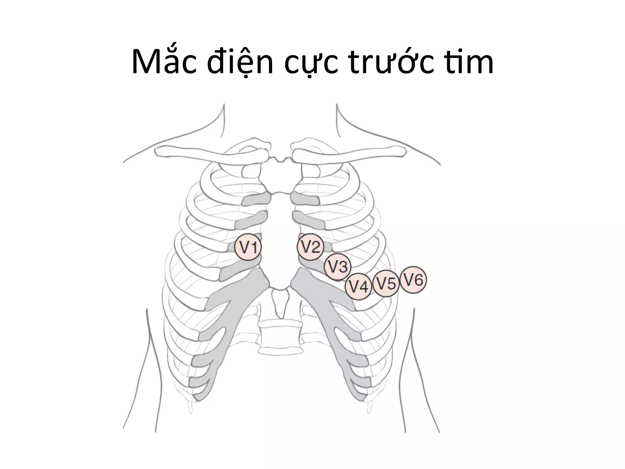 DIEN TAM DO | PDF