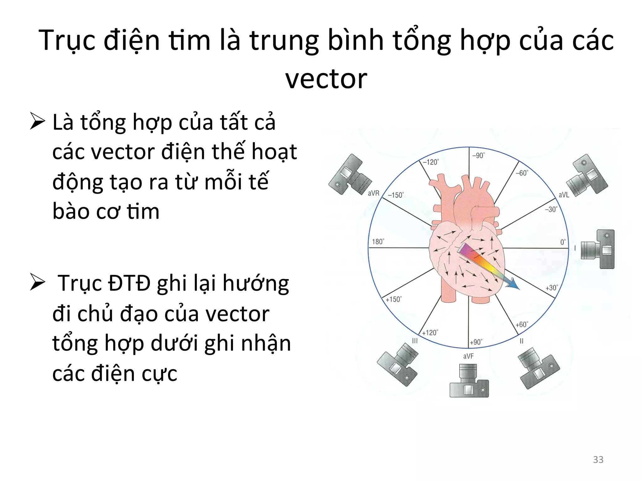DIEN TAM DO | PDF