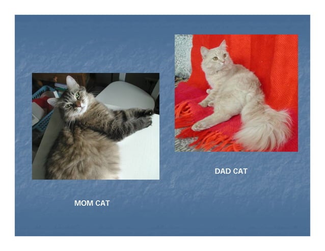 Introducing Heredity | PDF