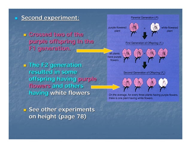 Introducing Heredity