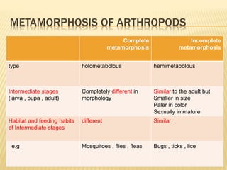 Intoduction on arthropod | PPT