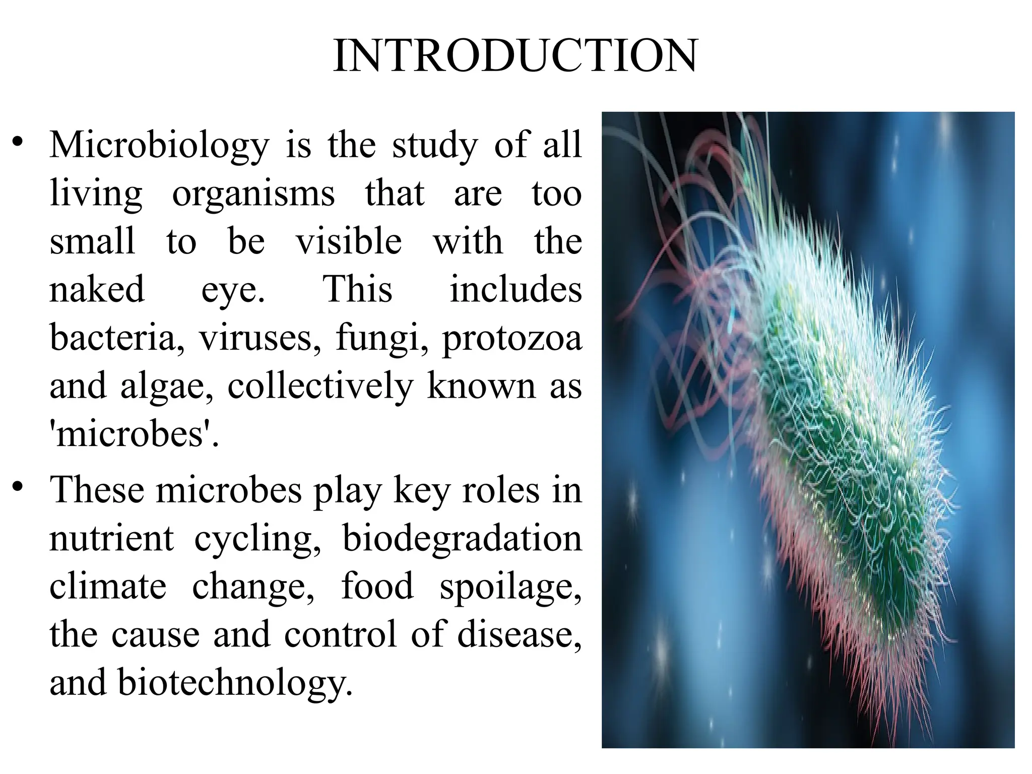 INTODUCTION OF MIOCROBIOLOGY IS EXPLAIN BY THE STRUCTURE OF THE ...