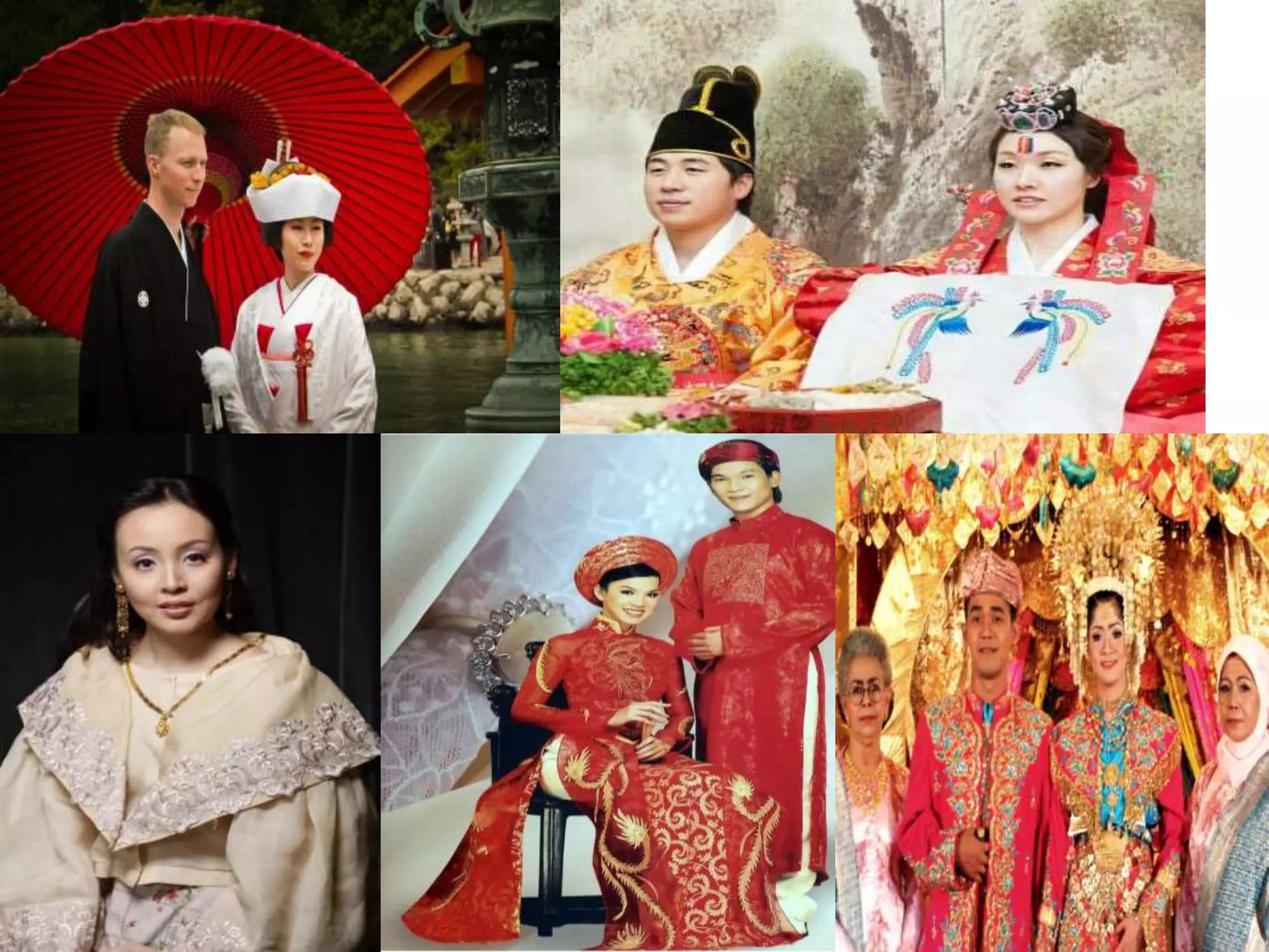 Introduction to fine arts,performance, visual,world culture & Foreign ...