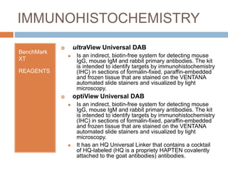 Intoduction to IHC using Benchmark XT.pptx