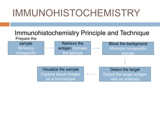 Intoduction to IHC using Benchmark XT.pptx