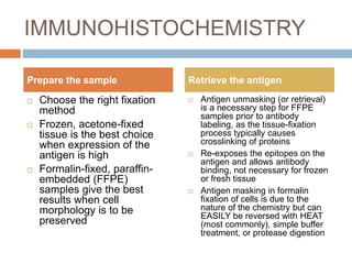 Intoduction to IHC using Benchmark XT.pptx
