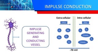 Intoduction to nervous system | PPT