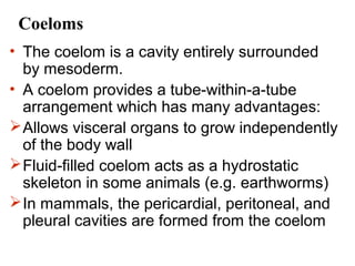 Intoranimal lecture 8 | PPT