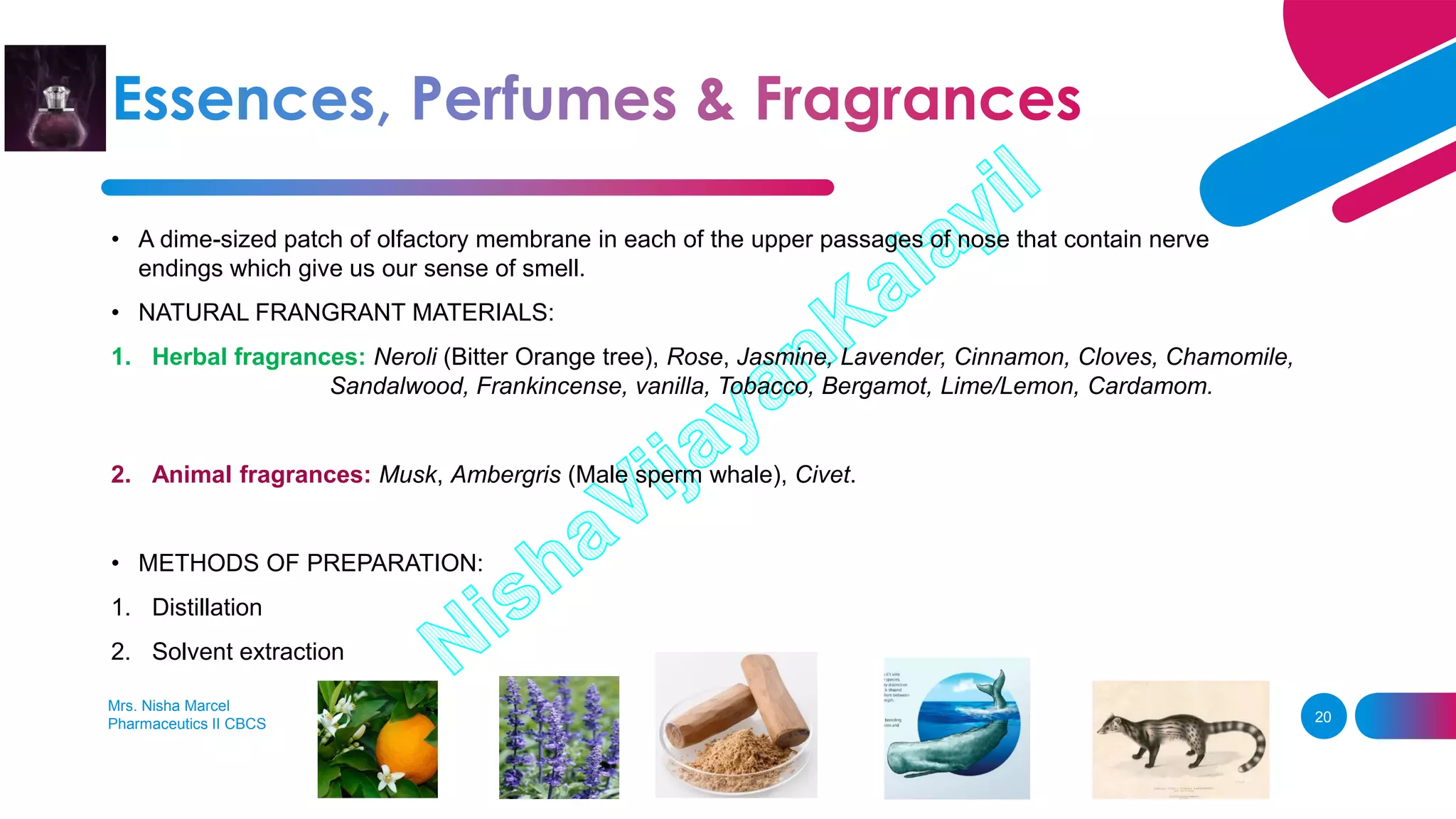 Introduction to cosmetics | PDF