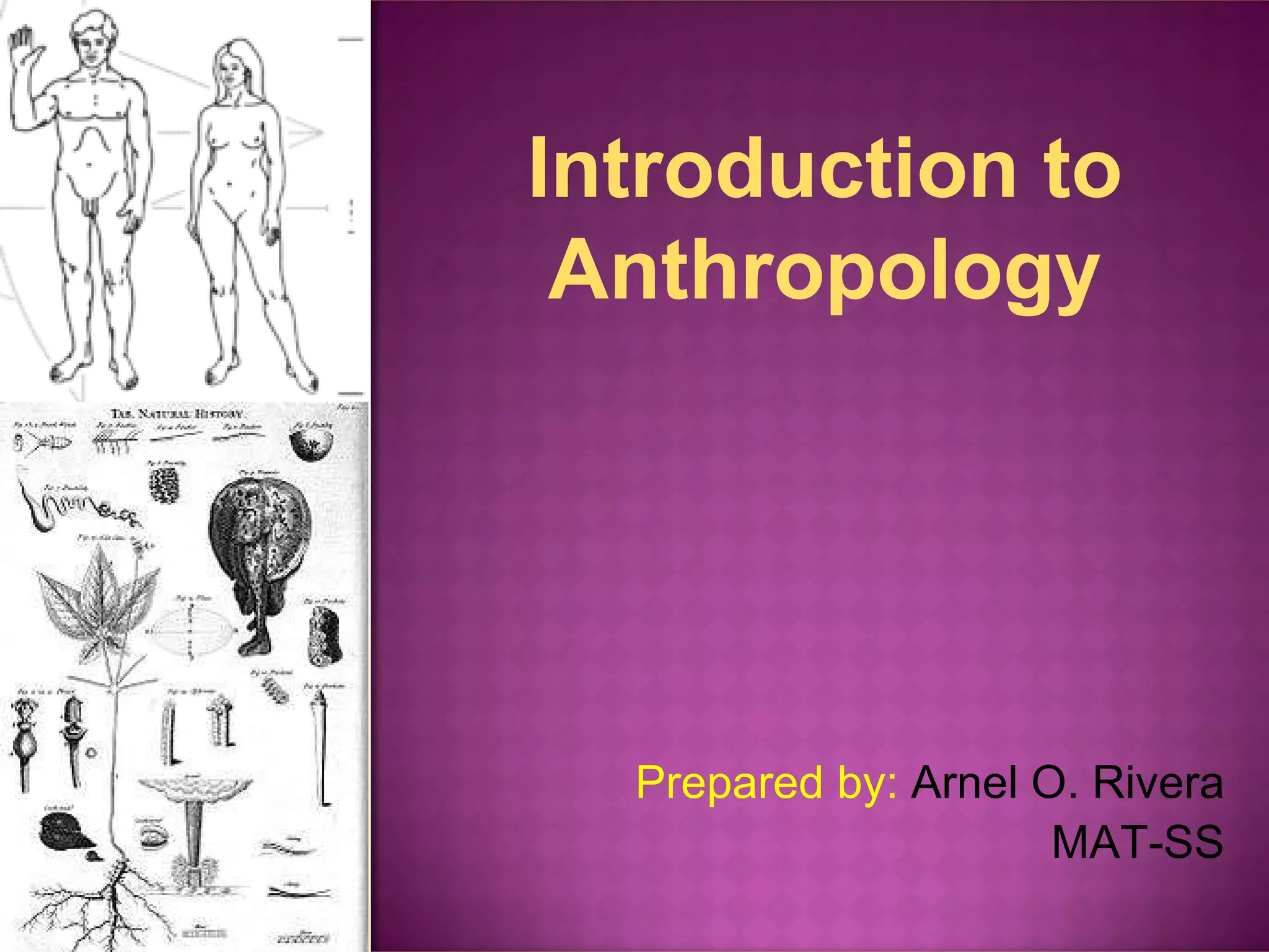 Into to anthropology | PPT | Biological Sciences | Science