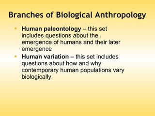 Into to anthropology | PPT