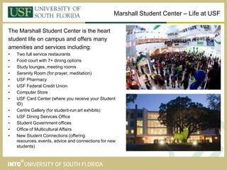Into usf 2012 13 - short | PPTX | Undergraduate Education | College ...