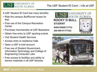 Into usf 2012 13 - short | PPTX | Undergraduate Education | College ...