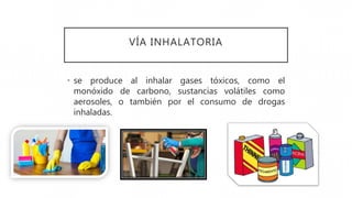 Intoxicación y envenenamiento patología II (enfermeria) | PPTX