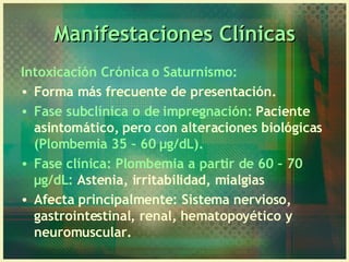 Intoxicación Por Plomo | PPT