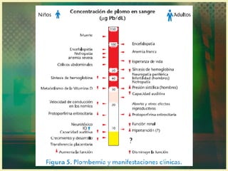 Intoxicación Por Plomo | PPT | Chemistry | Science