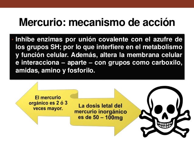 Intoxicación por mercurio